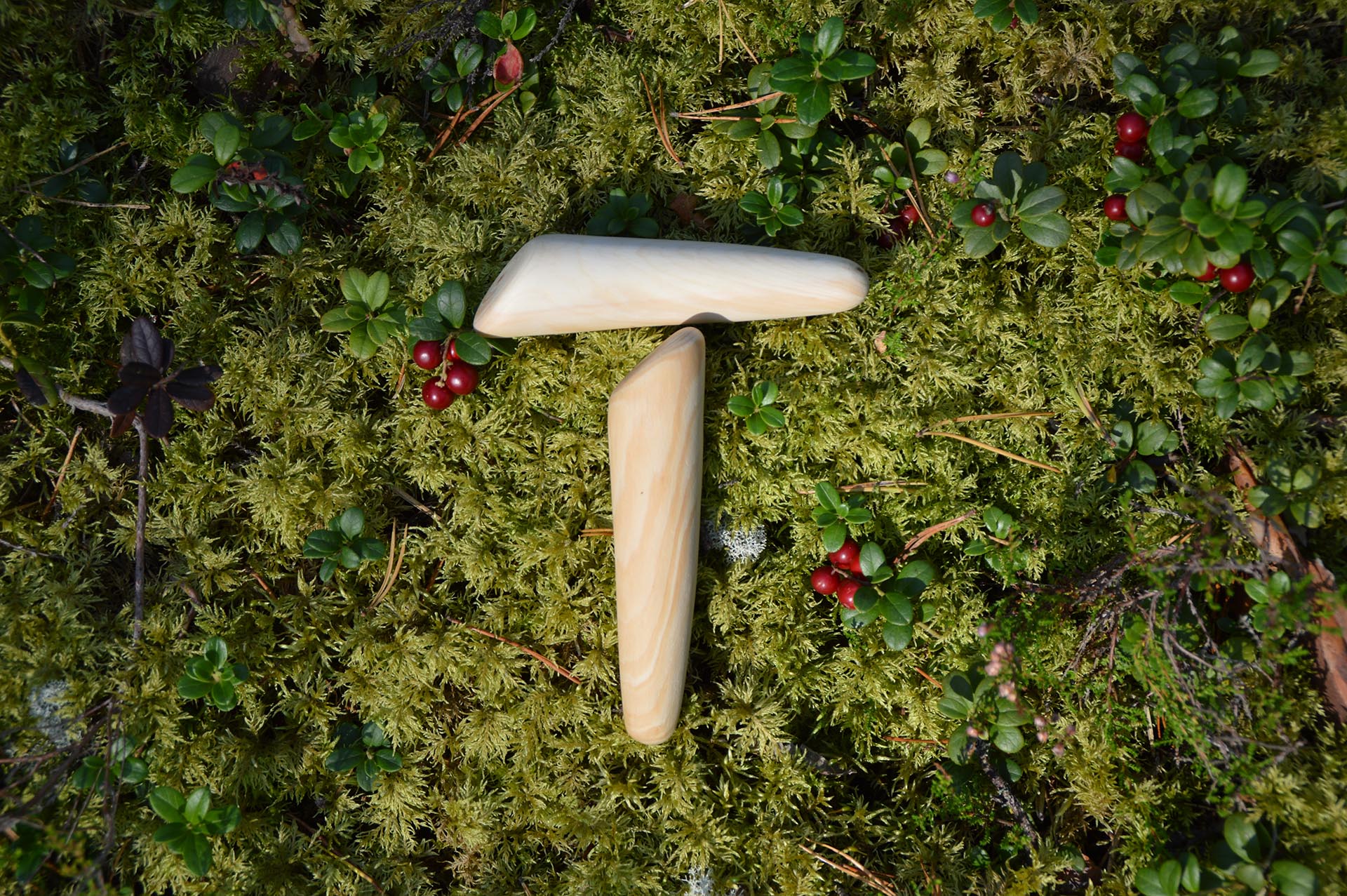 Tervhen - Puidust massažipulgad